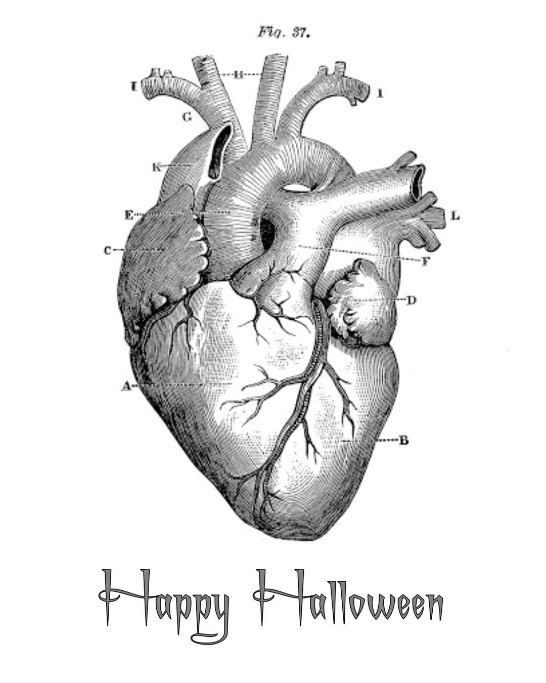 Anatomical Heart Printable, Halloween Heart Poster, Halloween Image ...