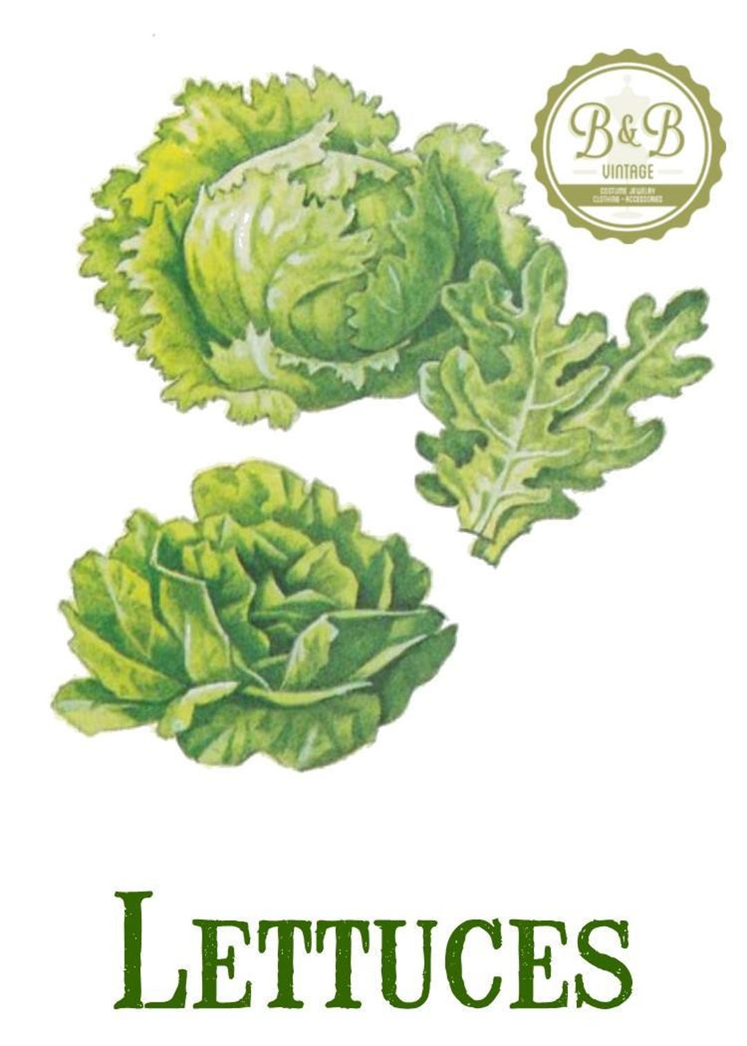 Vintage Lettuce Print Digital Download / Jpeg of Vintage Lettuces ...