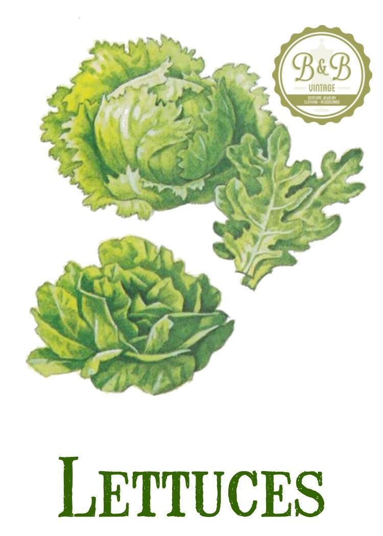 Vintage Lettuce Print Digital Download / Jpeg of Vintage Lettuces ...