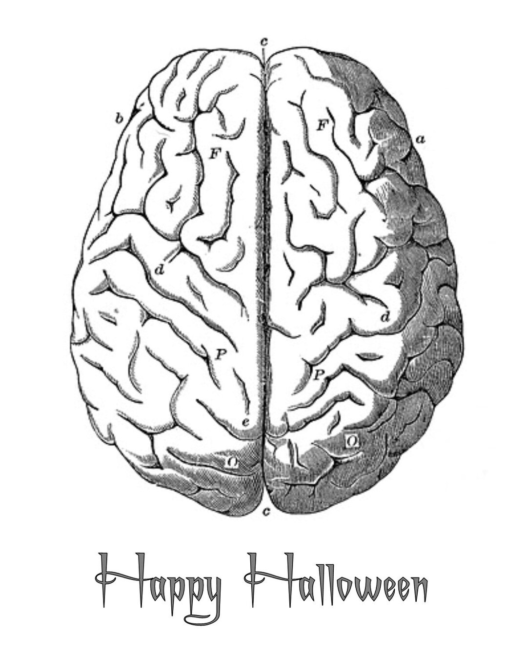 Antique Brain Halloween Print: Anatomical Art (PDF) - Etsy Canada