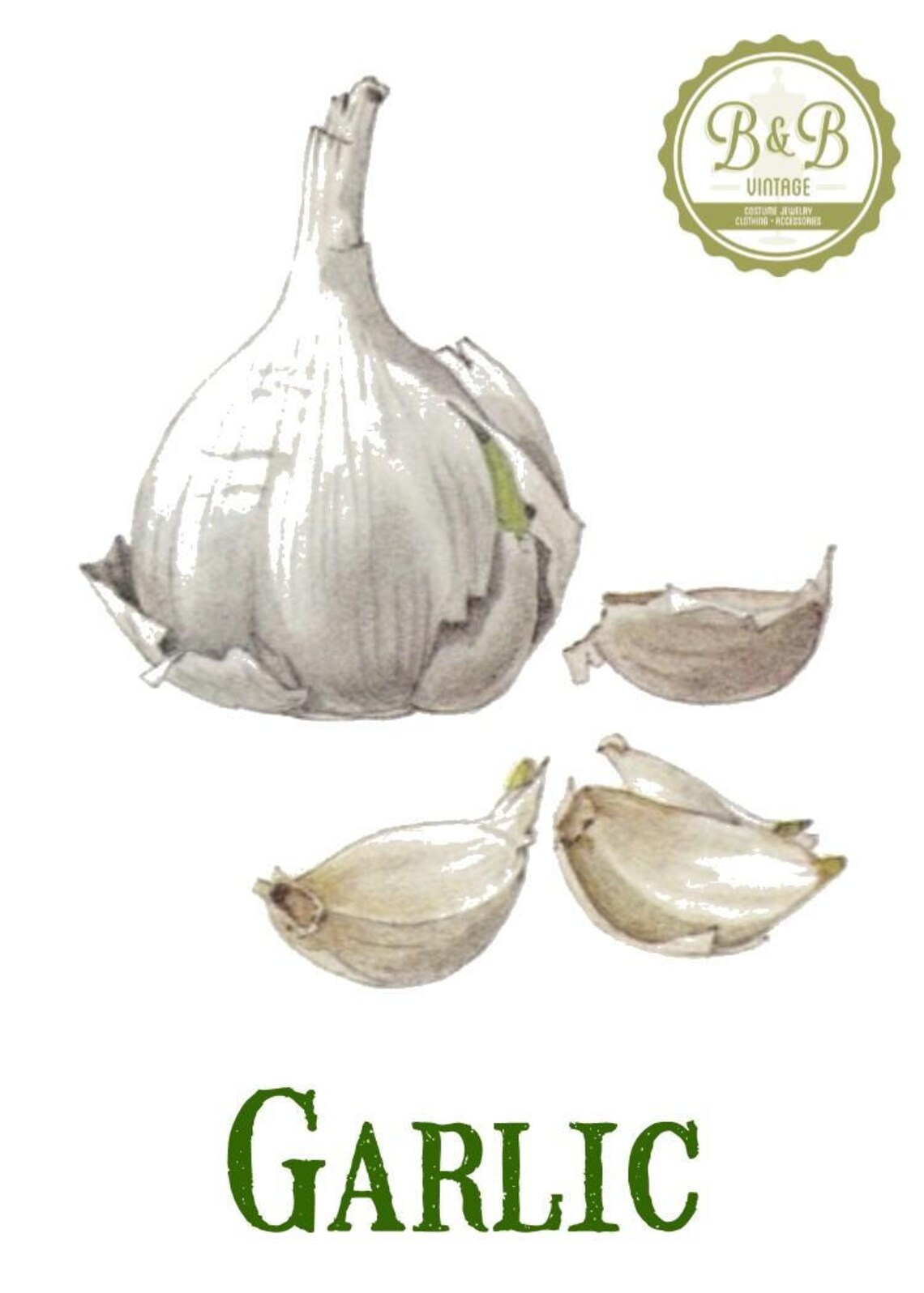 Vintage Garlic Print Digital Download / Jpeg of Vintage Garlic Bulbs ...