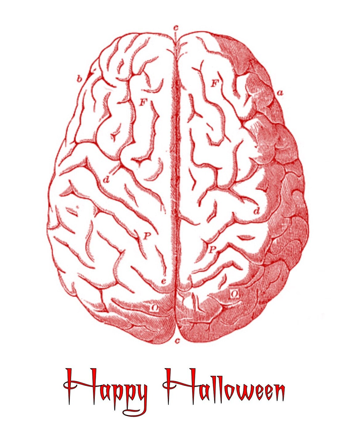 Antique Brain Halloween Print: Anatomical Art (PDF) - Etsy