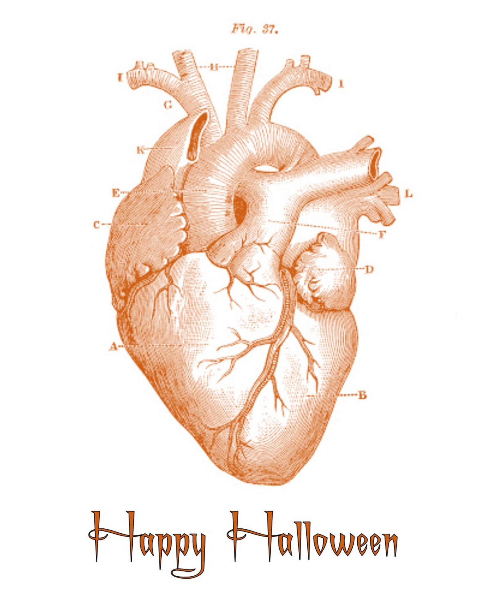 Anatomical Heart Halloween Print: Antique Style Poster (digital ...