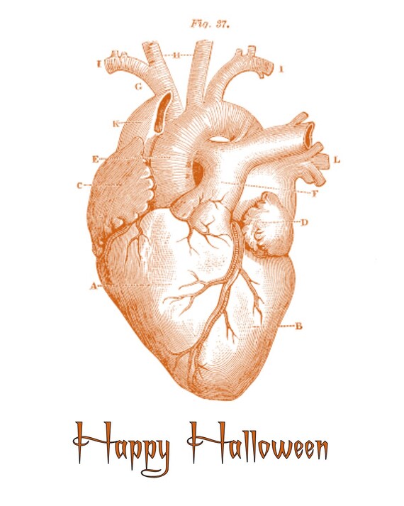 Anatomical Heart Pumpkin Carving