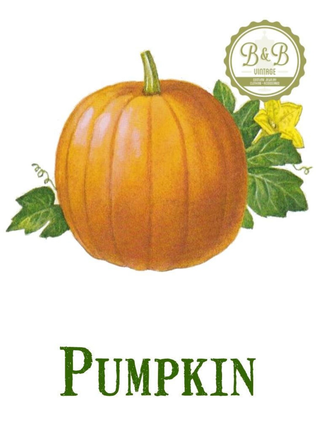 Vintage Pumpkin Print Digital Download / Jpeg of Vintage Pumpkins ...