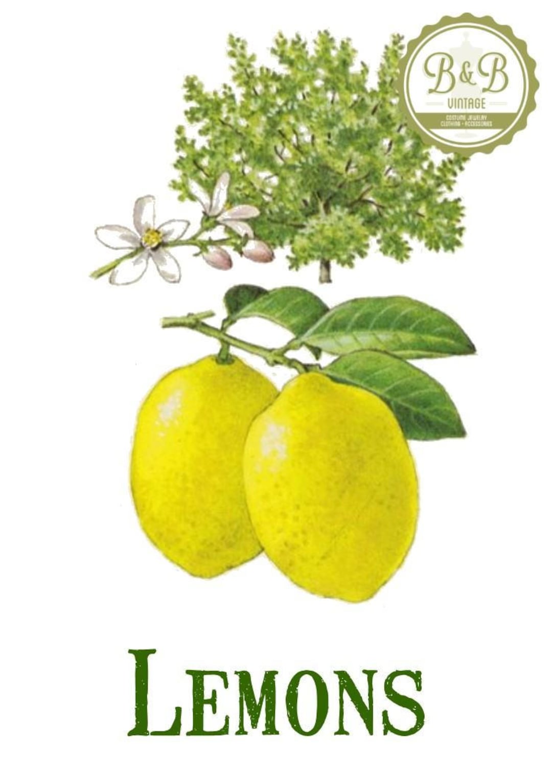 Vintage Lemons Print Digital Download / Jpeg of Vintage Lemons / Plant ...