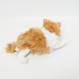 TY Beanie Babies CASSIE the Collie Dog Vintage 2000 New With Tags ...