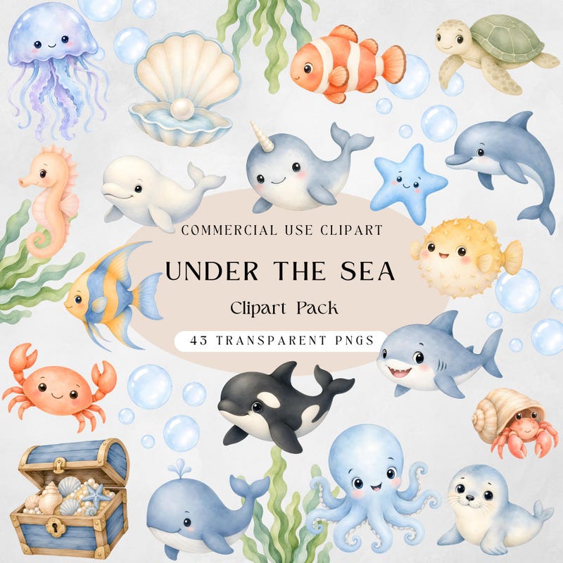 Sea Animal Clipart - Etsy