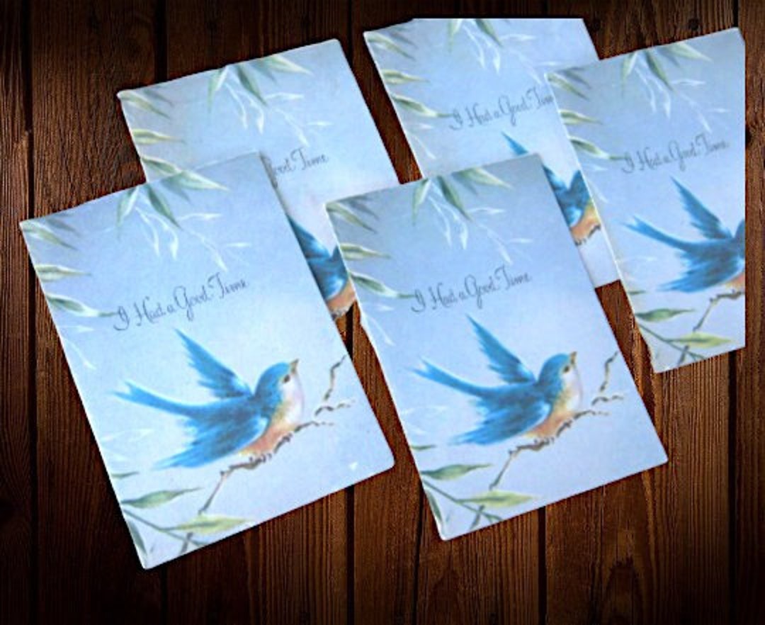 21-piece Lot of Bird & Flower Notecards/writing Paper: Blue Birds ...
