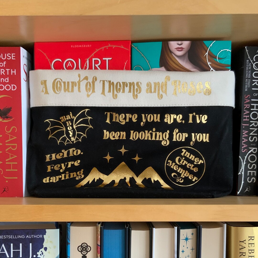 ACOTAR Book Basket, Sarah J Maas Licensed Merch, Rhysand, Feyre, Book ...