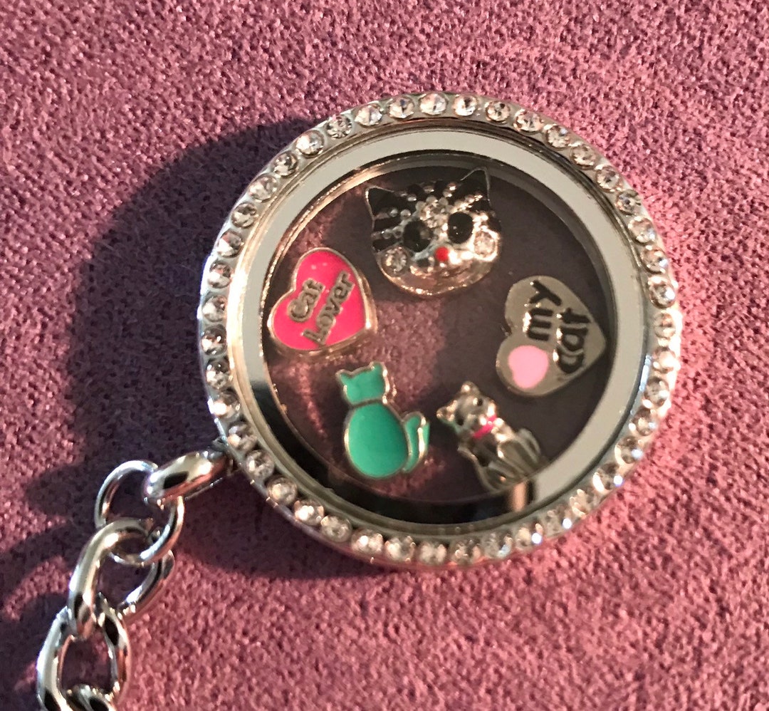 Cute Silver Memory Locket With Darling Kitties on a Keychain - Etsy