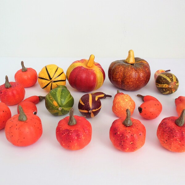 Plastic Gourds - Etsy