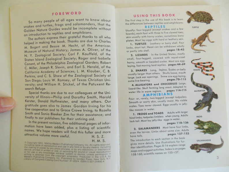 Reptiles and Amphibians a Golden Guide to 212 Familiar American Species ...