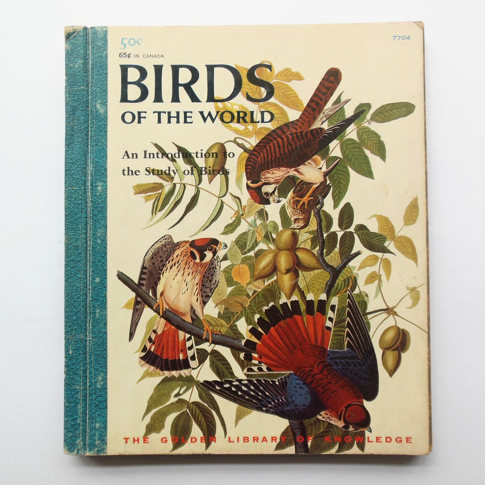 Birds of the World Children's Book Introduction to the Study by Eunice ...