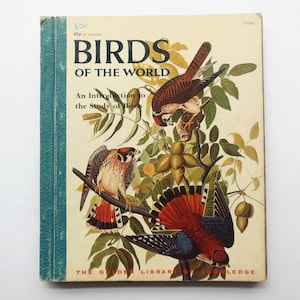 Birds of the World Children's Book Introduction to the Study by Eunice ...