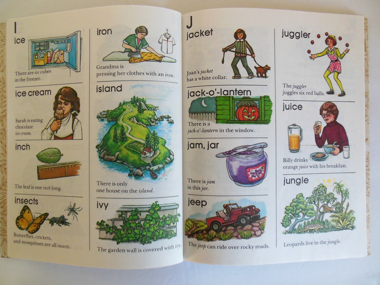 Little Golden Picture Dictionary, Child's Abcs First Dictionary, A ...