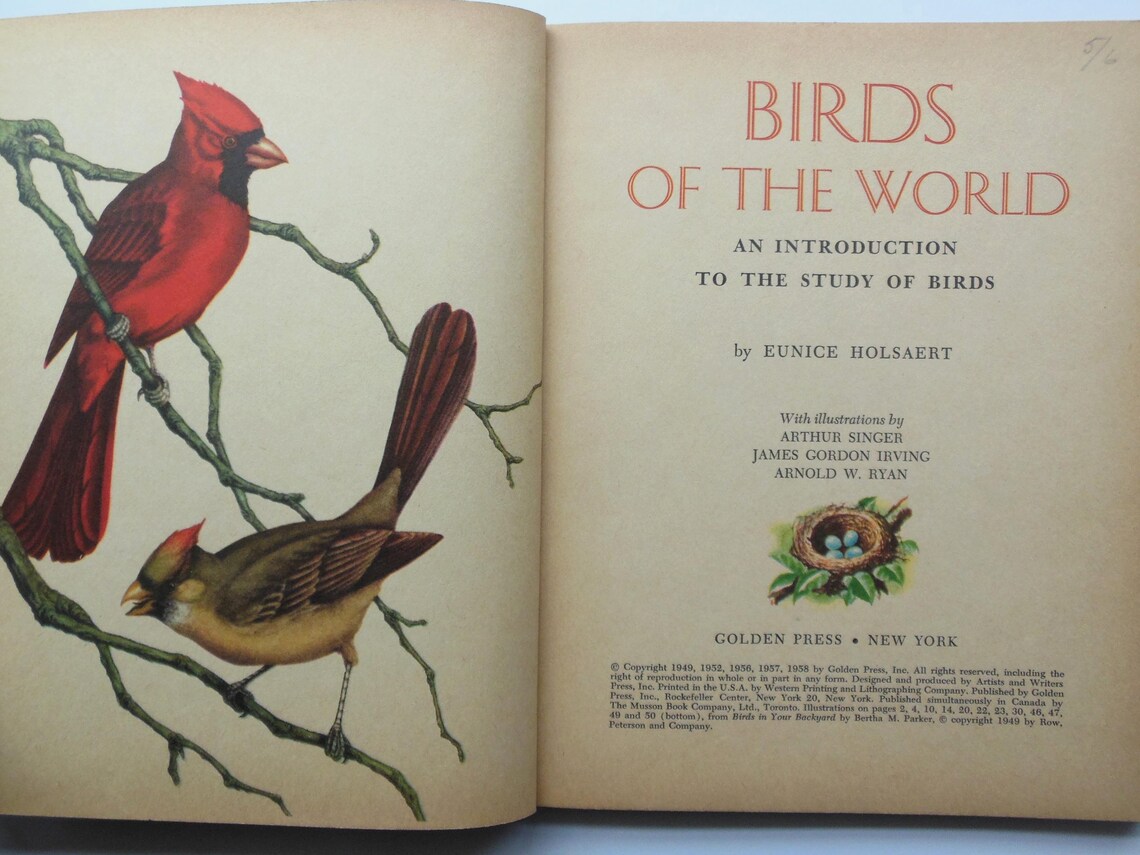 Birds of the World Children's Book Introduction to the Study by Eunice ...