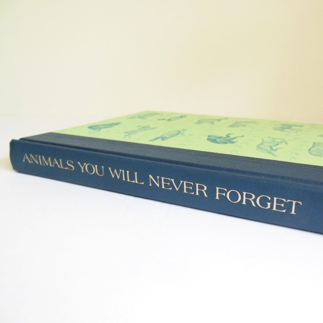 Animals You Will Never Forget Reader's Digest Book, True Stories About ...