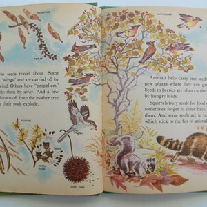 The Wonder Book of Trees 827, by Cynthia and Alvin Koehler, 1974 ...