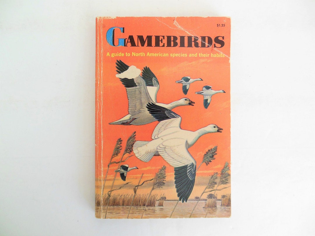 Gamebirds, A Guide to North American Species and Their Habits, A Golden ...