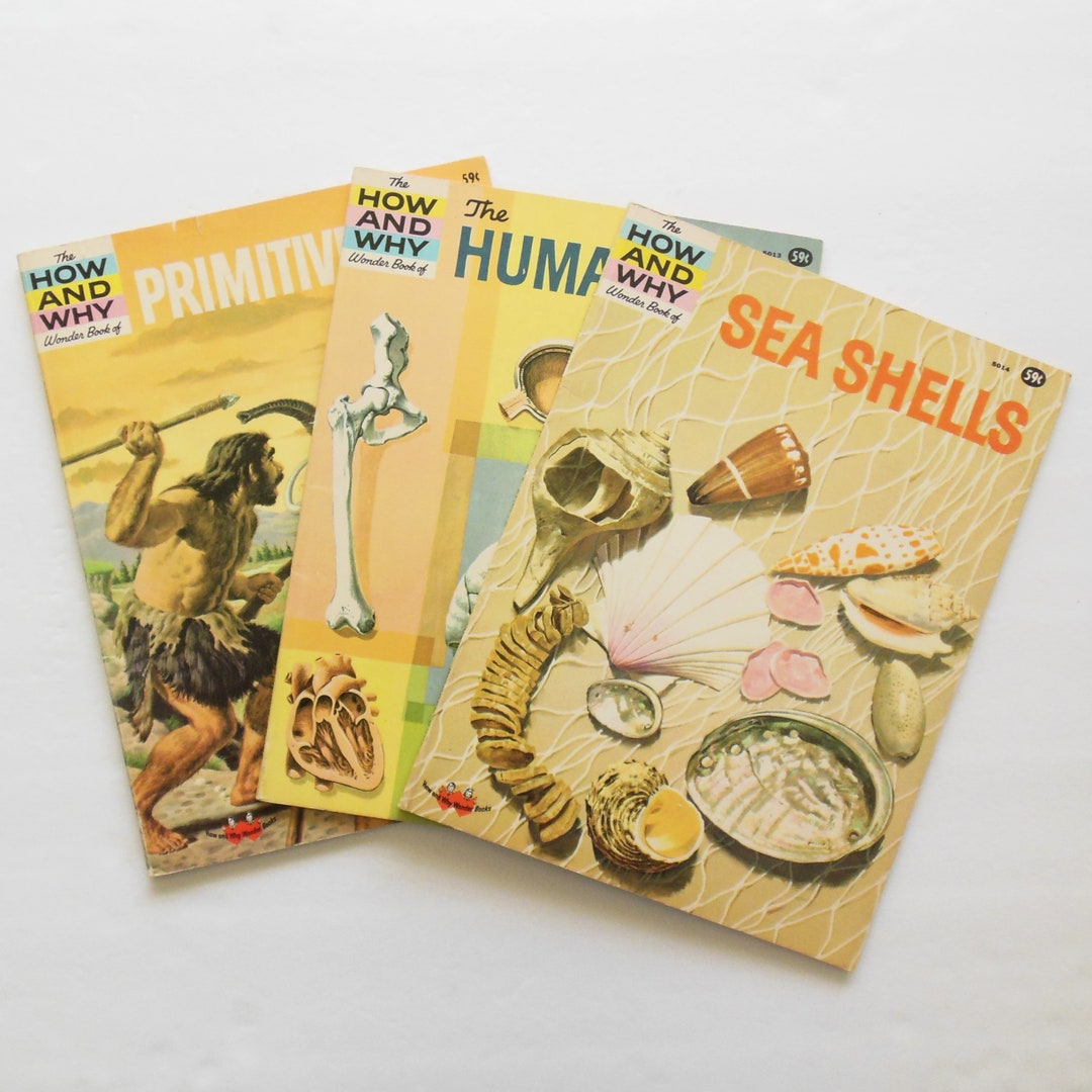 How and Why Wonder Book Your Choice of Sea Shells Human Body or ...