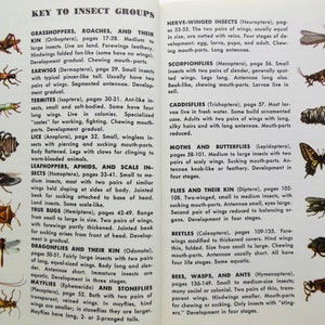 Insects or Insect Pests Golden Guide Book, Choice of One Field Guide ...