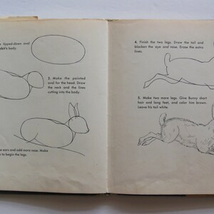 Forest Animals and How to Draw Them, by Amy Hogeboom, Art and ...