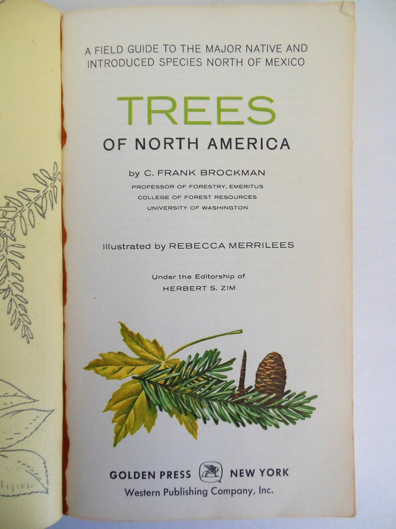 Trees of North America A Guide to Field Identification by C - Etsy