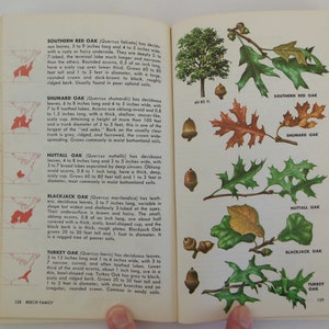 Trees of North America, A Guide to Field Identification, by C Frank ...