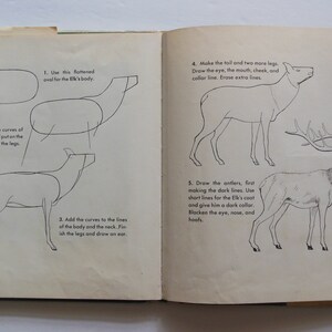 Forest Animals and How to Draw Them, by Amy Hogeboom, Art and ...