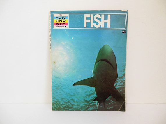 Fish the How and Why Wonder Book of Fish Number 5066 by | Etsy