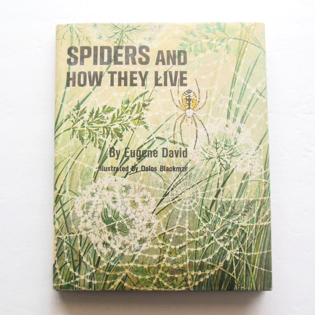 Spiders and How They Live Junior Research Book by Eugene David ...