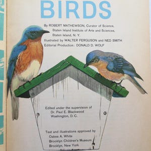 Birds How and Why Wonder Book 5009 by Robert Mathewson, Vintage ...