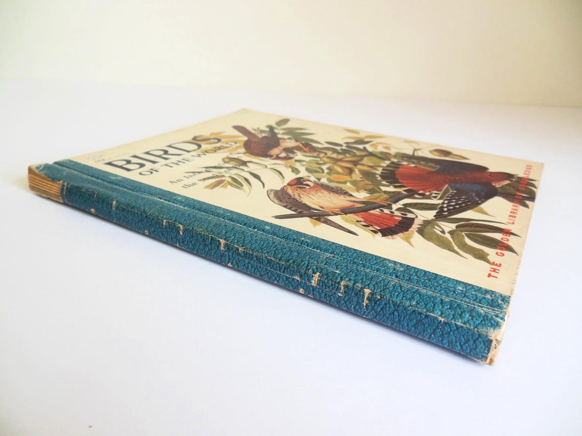 Birds of the World Children's Book Introduction to the Study by Eunice ...