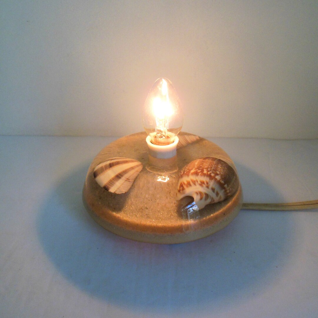 Night Light With Seashells Electric Beach Decor, 3 Shells Encased in ...