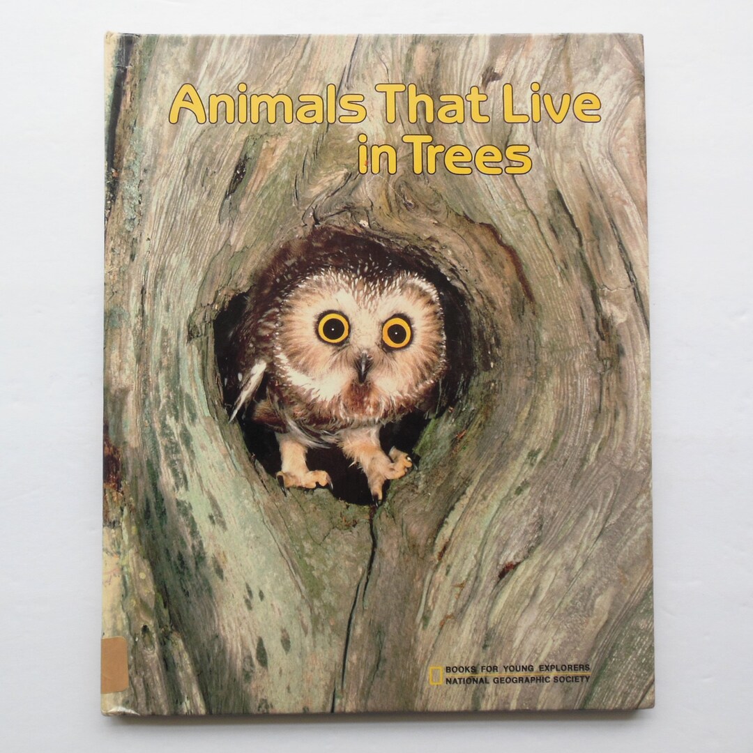 Animals That Live in Trees by Jane Mccauley, Books for Young Explorers ...