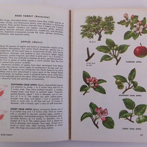 Trees of North America, A Guide to Field Identification, by C Frank ...