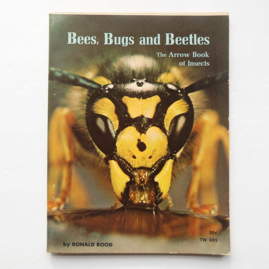 Bees Bugs and Beetles Arrow Book of Insects by Ronald Rood, Vintage ...