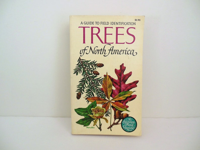 Trees of North America A Guide to Field Identification by C - Etsy