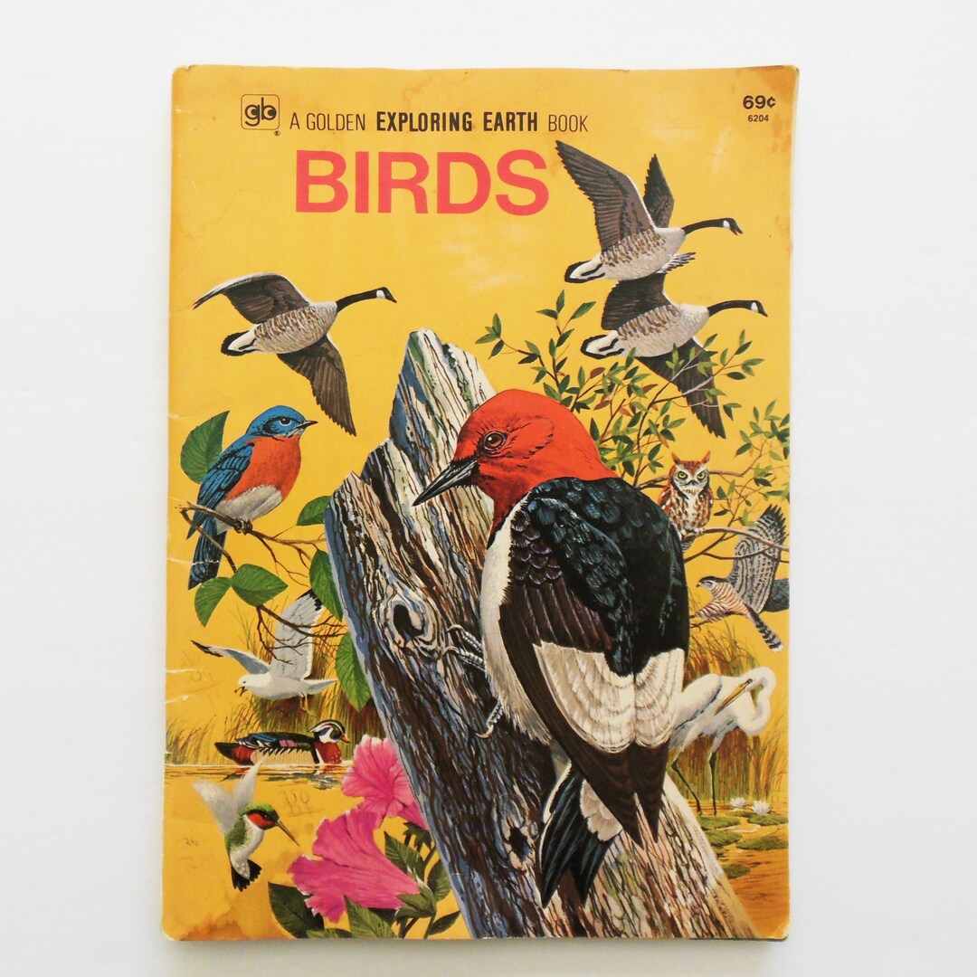 Birds A Golden Exploring Earth Book, Children's Backyard Birding by ...