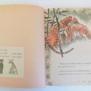 How to Be an Animal Detective Based on Nature Detective, Children's ...