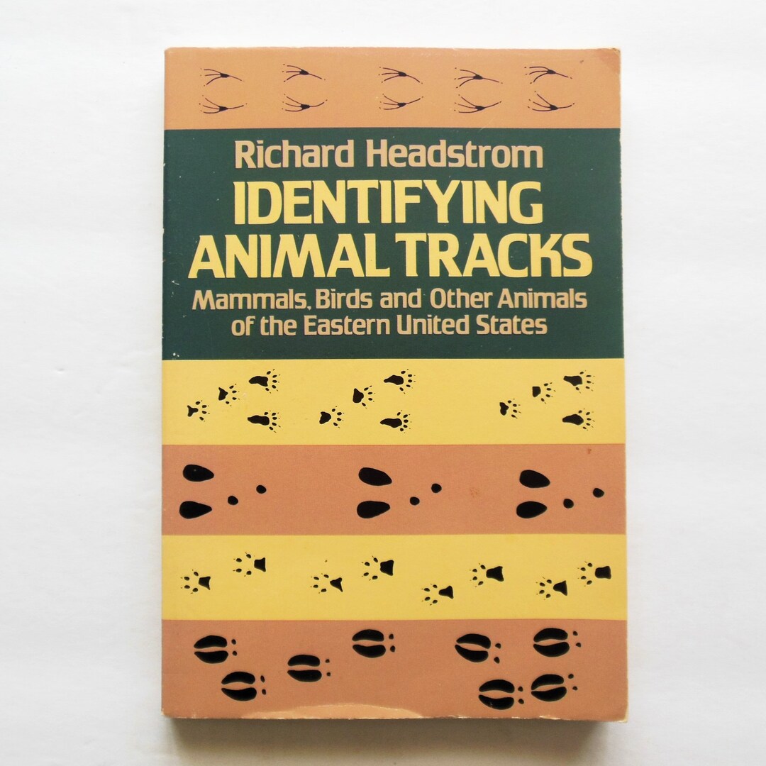 Identifying Animal Tracks Mammals Birds of Eastern United States, by ...