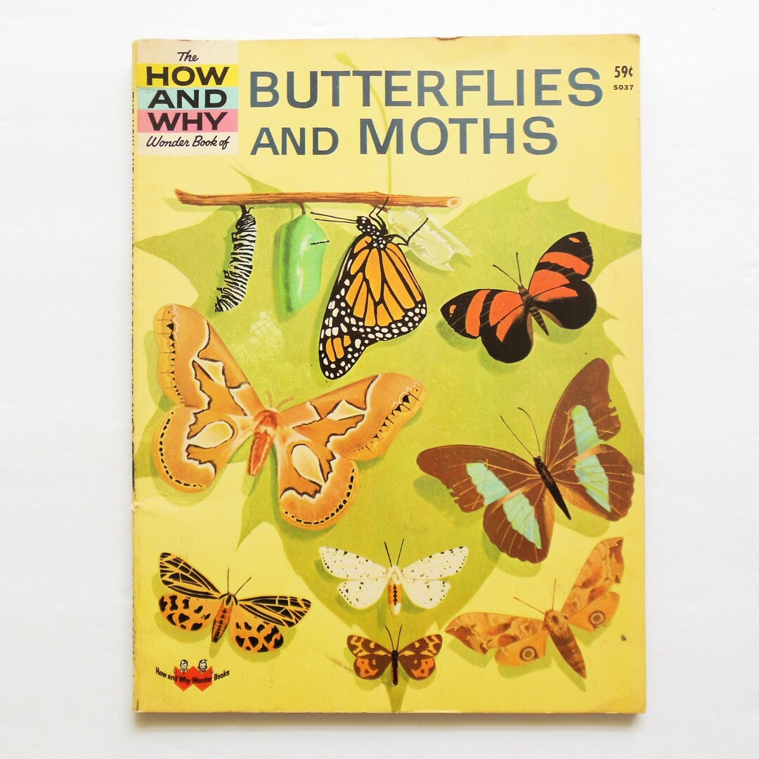 Butterflies and Moths How and Why Wonder Book 5037, Vintage Childrens ...