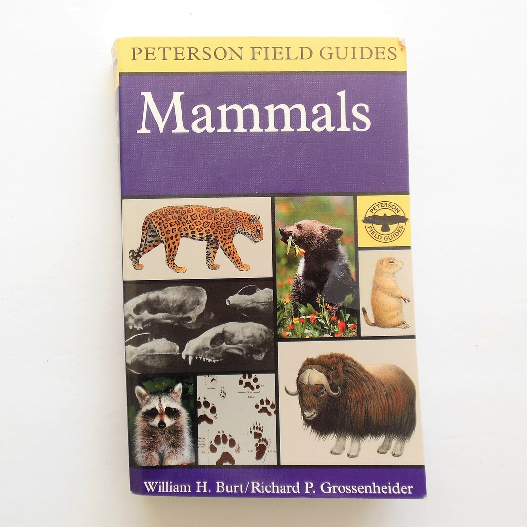 Field Guide to Mammals, North America Peterson Series, by William Burt ...