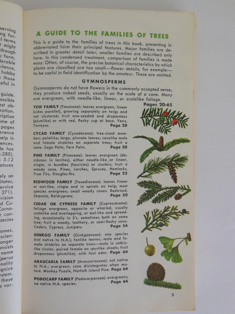 Trees of North America A Guide to Field Identification by C - Etsy