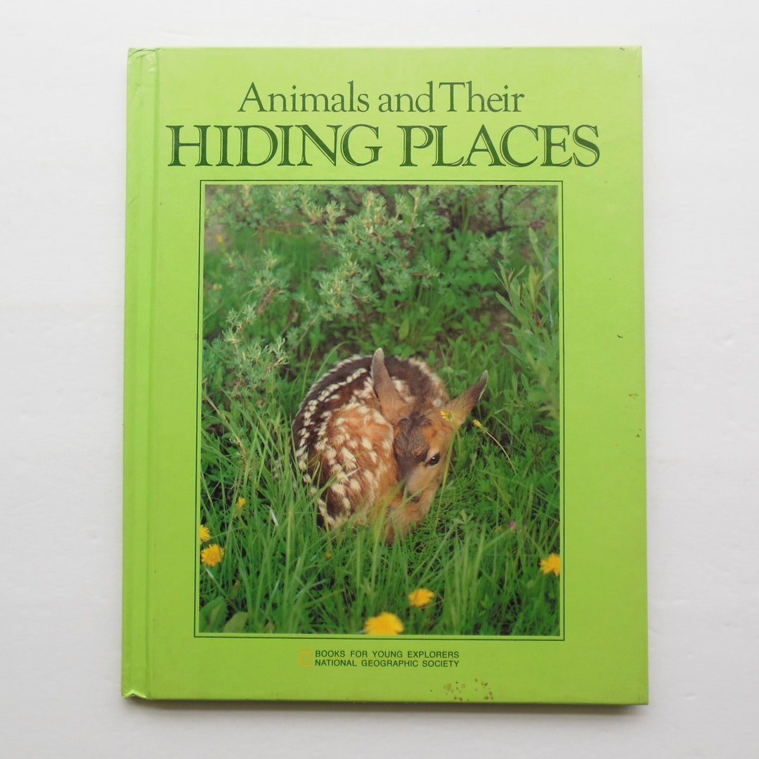Animals and Their Hiding Places by Jane Mccauley, Educational Children ...