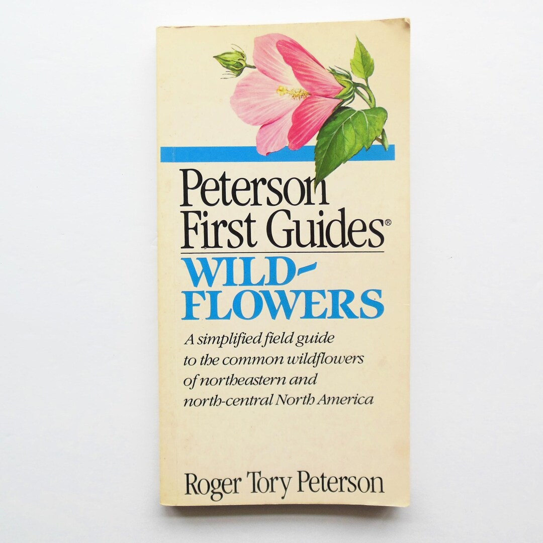 Wildflowers Peterson First Guides, Common Wild Flowers of North East ...