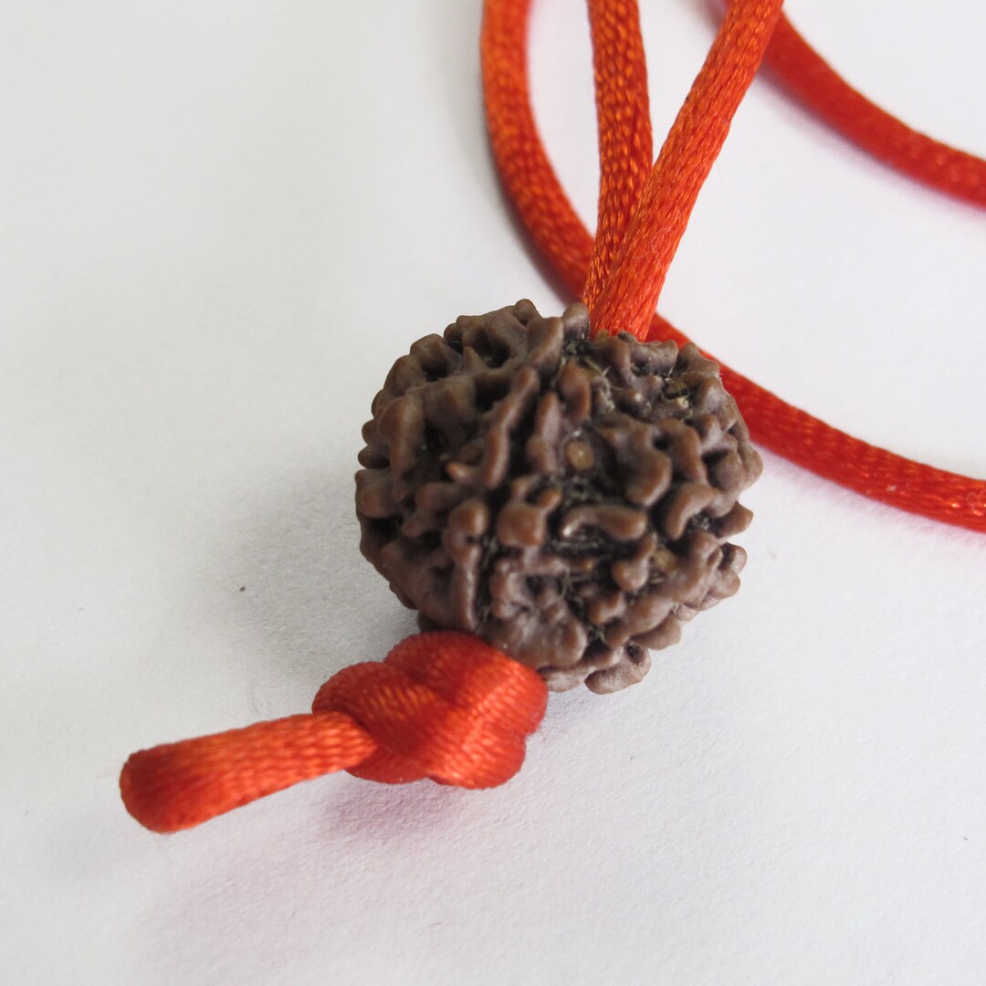 Single Rudraksha Bead - 5 Mukhi [5 Faces]. - Etsy