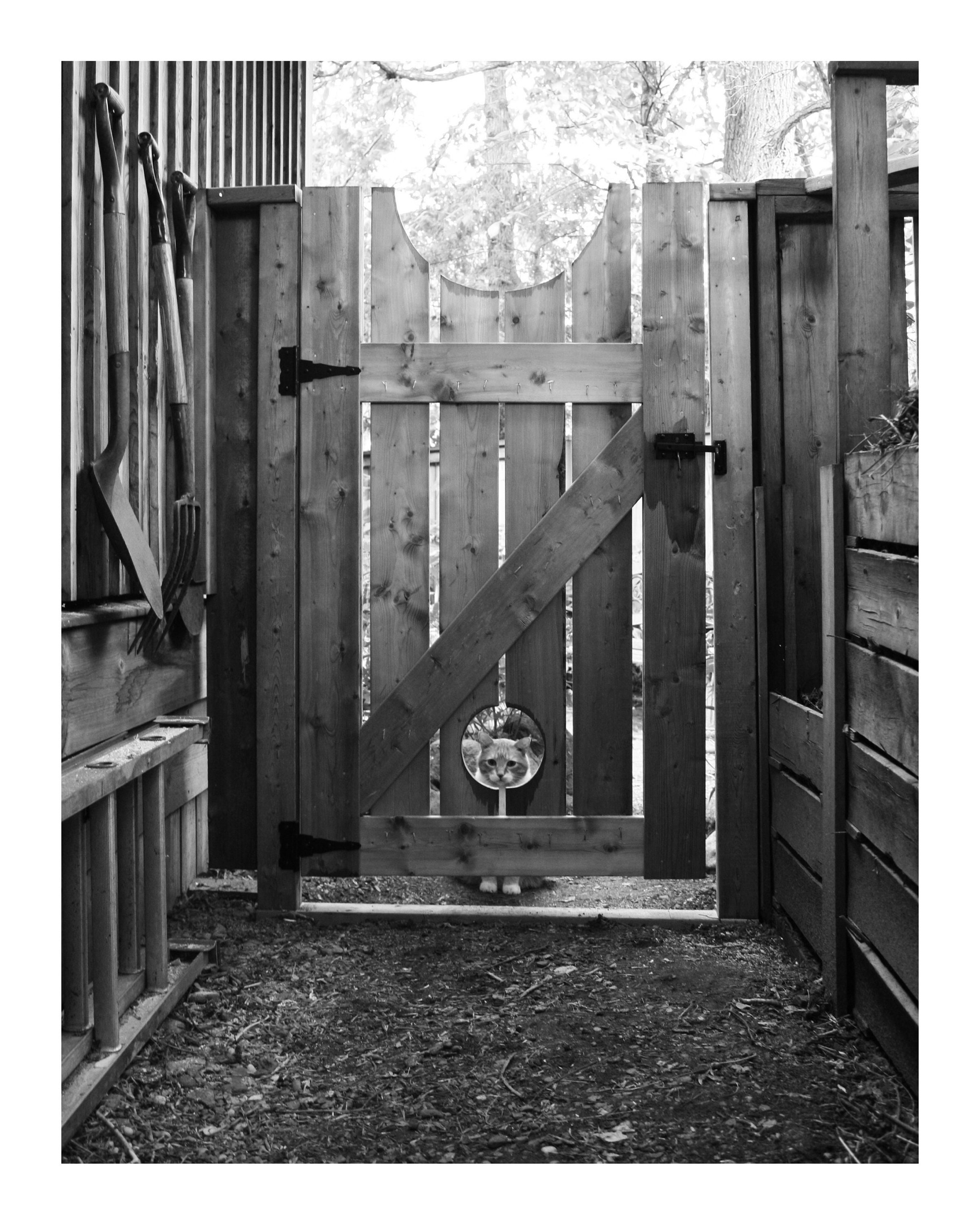 I See You, Photo Print Black and White - Etsy