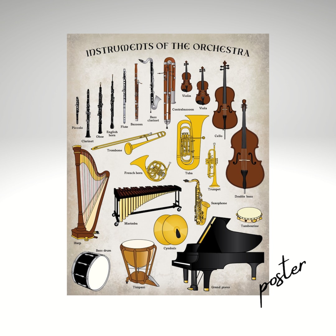 Instruments of the Orchestra - Poster - Etsy